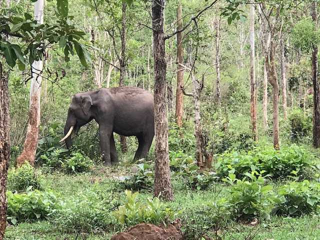 Cheppara, Thrissur (2025) - Images, Timings | Holidify