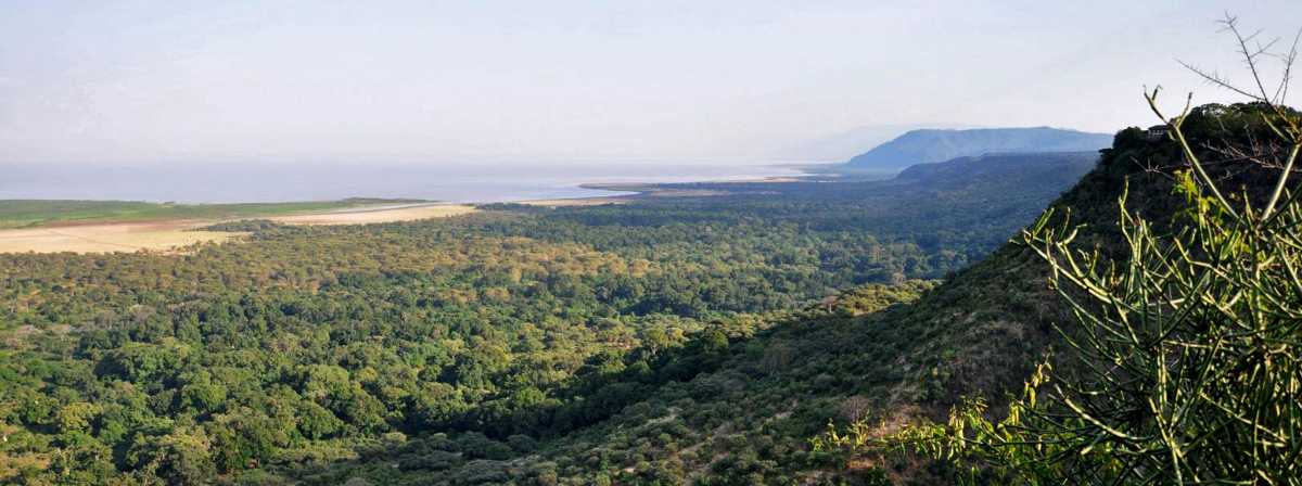 Lake Manyara National Park Tourism (2025) - Tanzania > Top Places ...