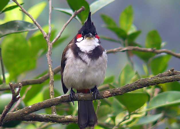 Vazhani Wildlife Sanctuary, Palakkad (2026) - Images, Timings | Holidify