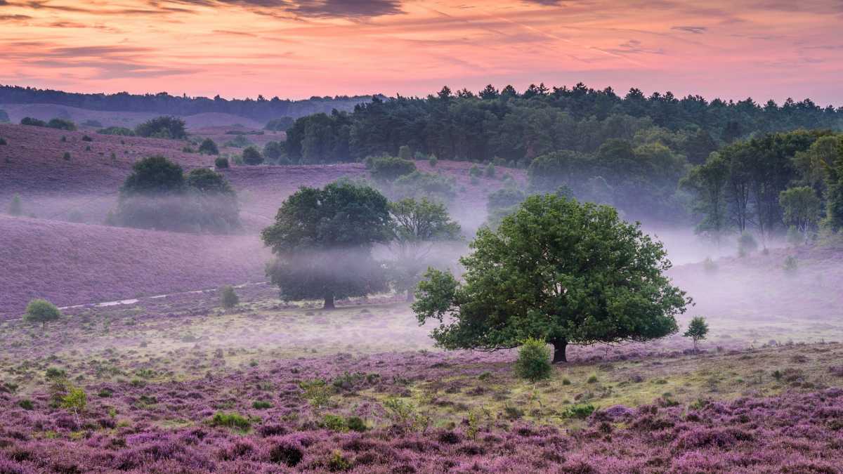 17 The Most Beautiful Places in Netherlands