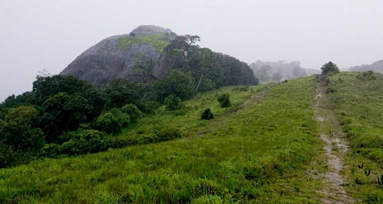 9 Trekking in Wayanad : Top Treks in Wayanad