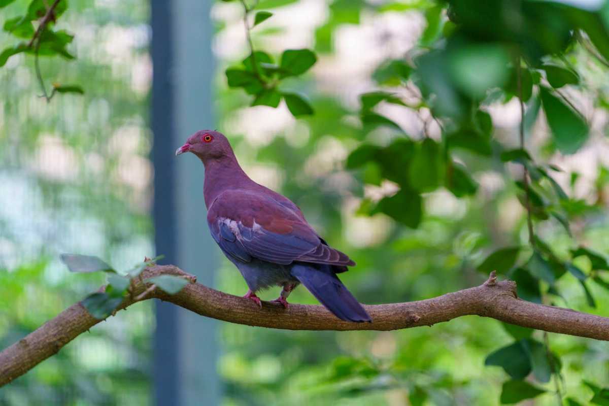 Weather in Mauritius in May: The Perfect Travel Month | Holidify