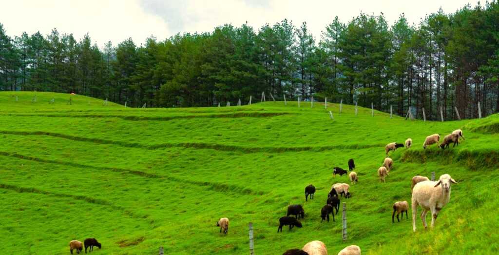 ChitlangTourism (2025) - Nepal > Top Places, Travel Guide | Holidify