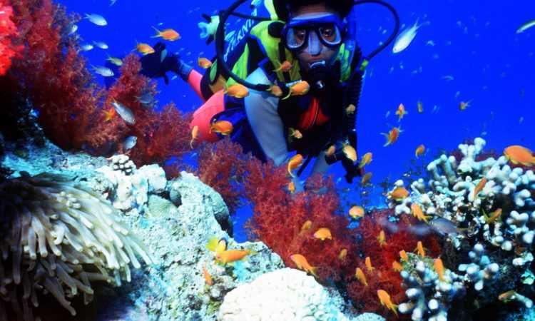 25 Things to Do in Kenya