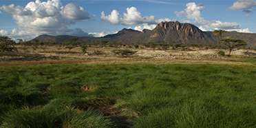 Shaba National Reserve Tourism (2025) - Kenya > Top Places, Travel ...