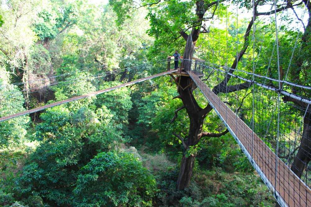 Lake Manyara National Park Tourism (2026) - Tanzania > Top Places ...
