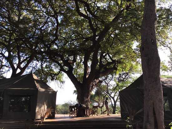 Katavi National Park Tourism (2025) - Tanzania > Top Places, Travel ...