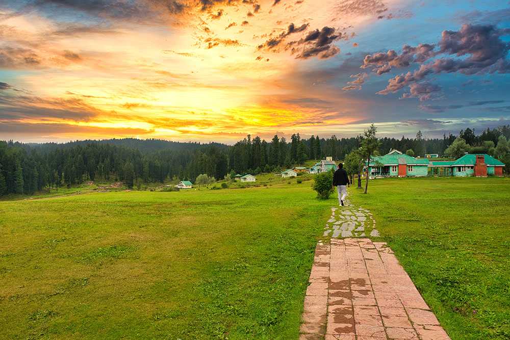 Yusmarg Tourism (2025) - India > Top Places, Travel Guide | Holidify