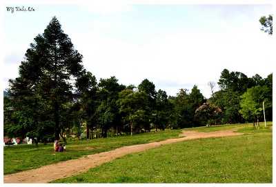 Gompa Buddhist Temple, Itanagar| Gompa Buddhist Temple Photos and Timings