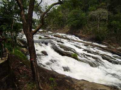 Charpa Falls, Thrissur| Charpa Falls Photos and Best Time