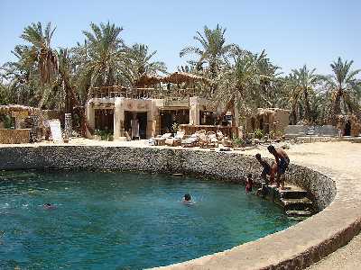 Siwa Tourism (2025) - Egypt > Top Places, Travel Guide | Holidify