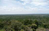 Kakamega Forest National Reserve Tourism (2025) - Kenya > Top Places ...