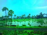 Konaseema Tourism (2025) - India > Top Places, Travel Guide | Holidify