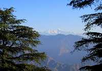 Best Time To Visit Landour > Weather And Festivals