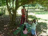 Choma Tourism (2025) - Zambia > Top Places, Travel Guide | Holidify