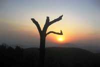 Best Time To Visit Netarhat > Weather, Temperature & Season